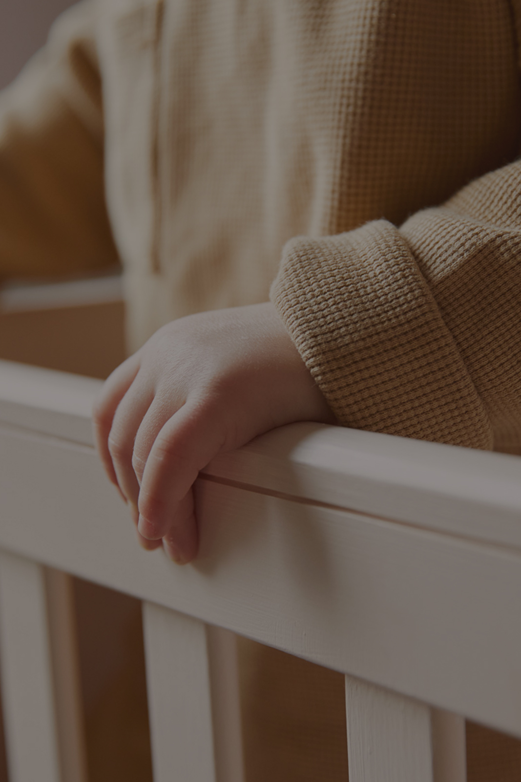 Home - Earthborn Paints