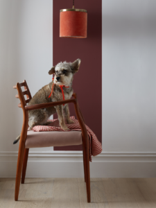 Earthborn Colour of the Year 2023 – Lady Bug - Earthborn Paints